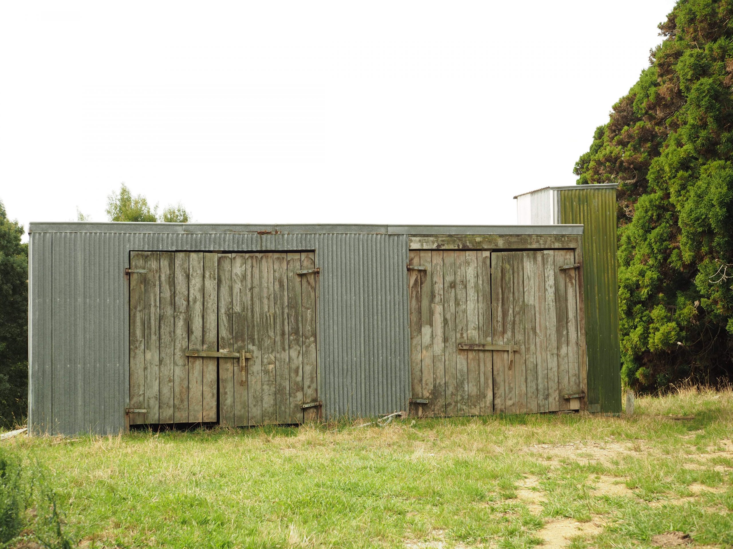 Sustainable Timber from Northland, 30 Years in the Making | Lloyd ...